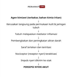 Etiologi Nyeri Akut - Perawat.org